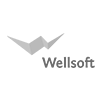 Услуги по разработке сайтов, систем автоматизации — IT-компания Wellsoft